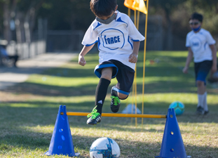 De Anza Force and CA Thorns | Home